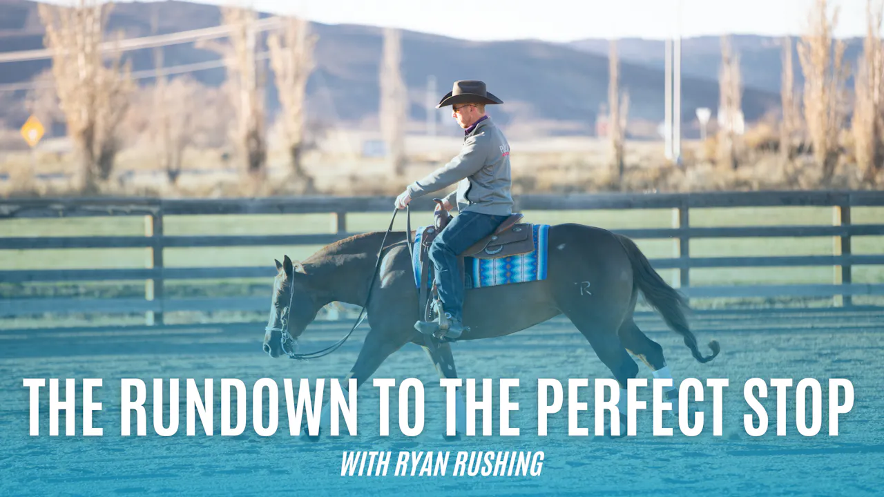 The Rundown to the Perfect Stop - Build the Pattern: Reining ...