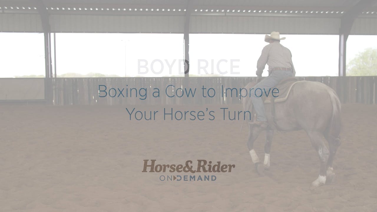 Boxing a Cow to Improve Your Horse’s Turn - RIDE TV