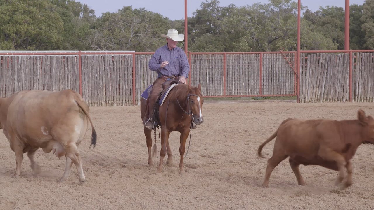 Reinforcing Leg Cues - RIDE TV