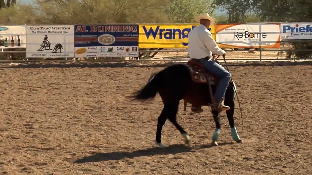 How to Turn Your Horse Left and Right - Horsemanship - RIDE TV