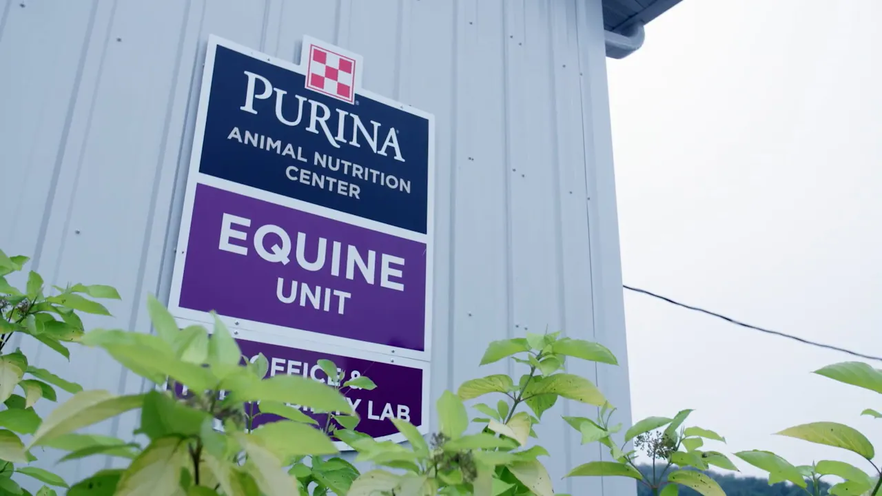 Purina Body Condition Scoring Tips - Horse Care - RIDE TV