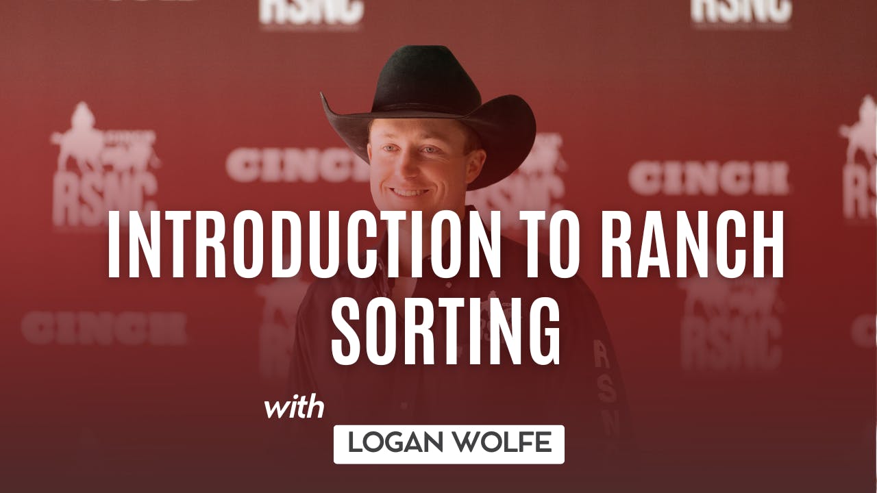 Introduction to Ranch Sorting - RIDE TV