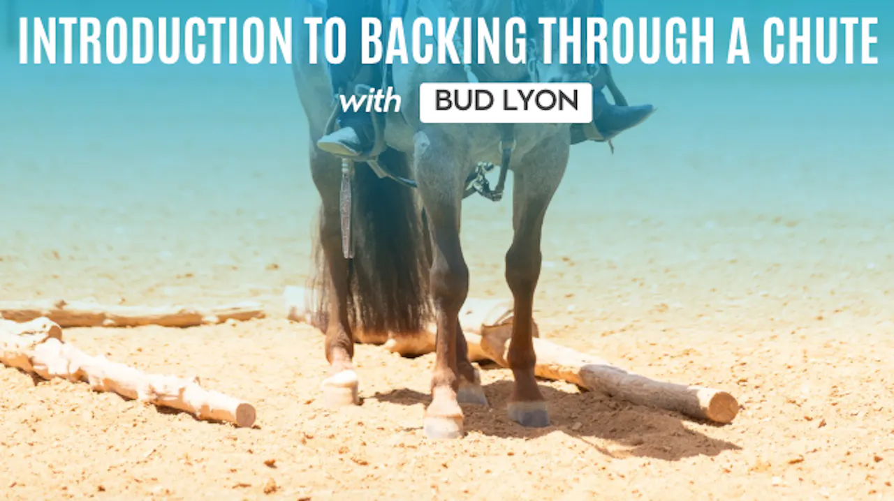 Introduction To Backing Through A Chute - Bud Lyon's Ranch Trail ...
