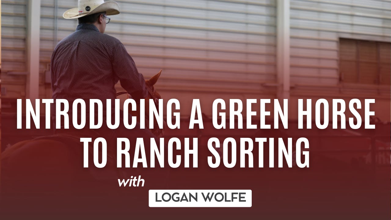 Introducing a Green Horse to Ranch Sorting - RIDE TV