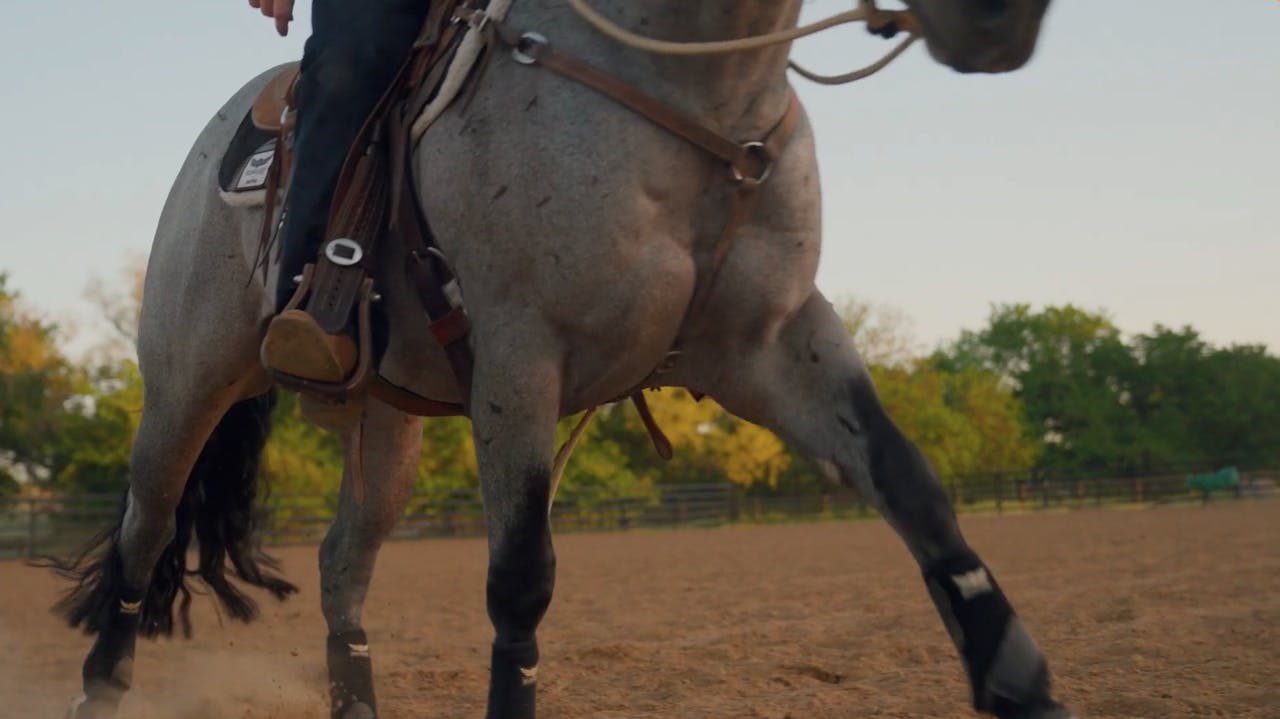 Raised Ready: The Relentless Remuda - RIDE TV