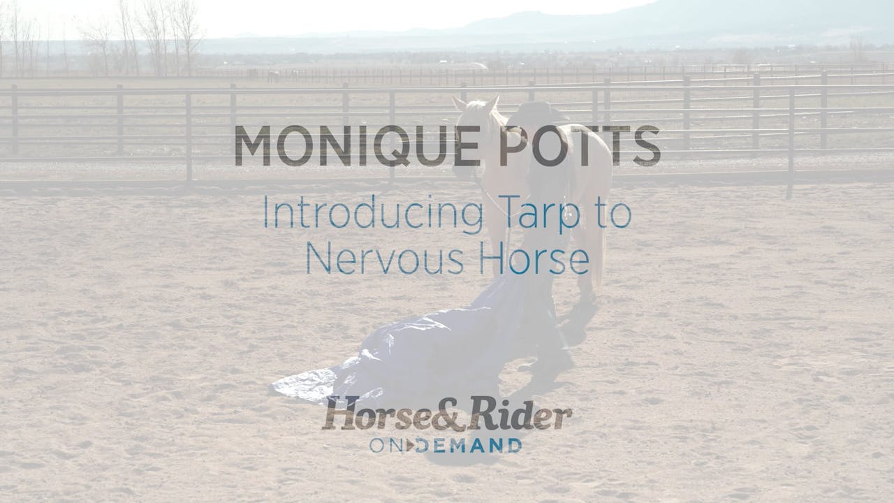 Desensitize a Horse Using a Tarp - RIDE TV