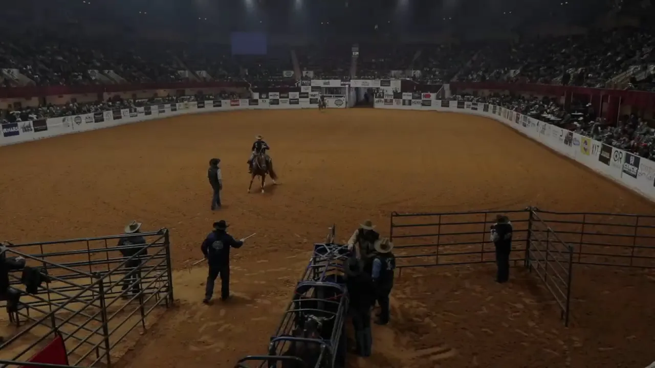 Steer Stopping Finals | NRCHA's 2023 World's Greatest Horseman ...
