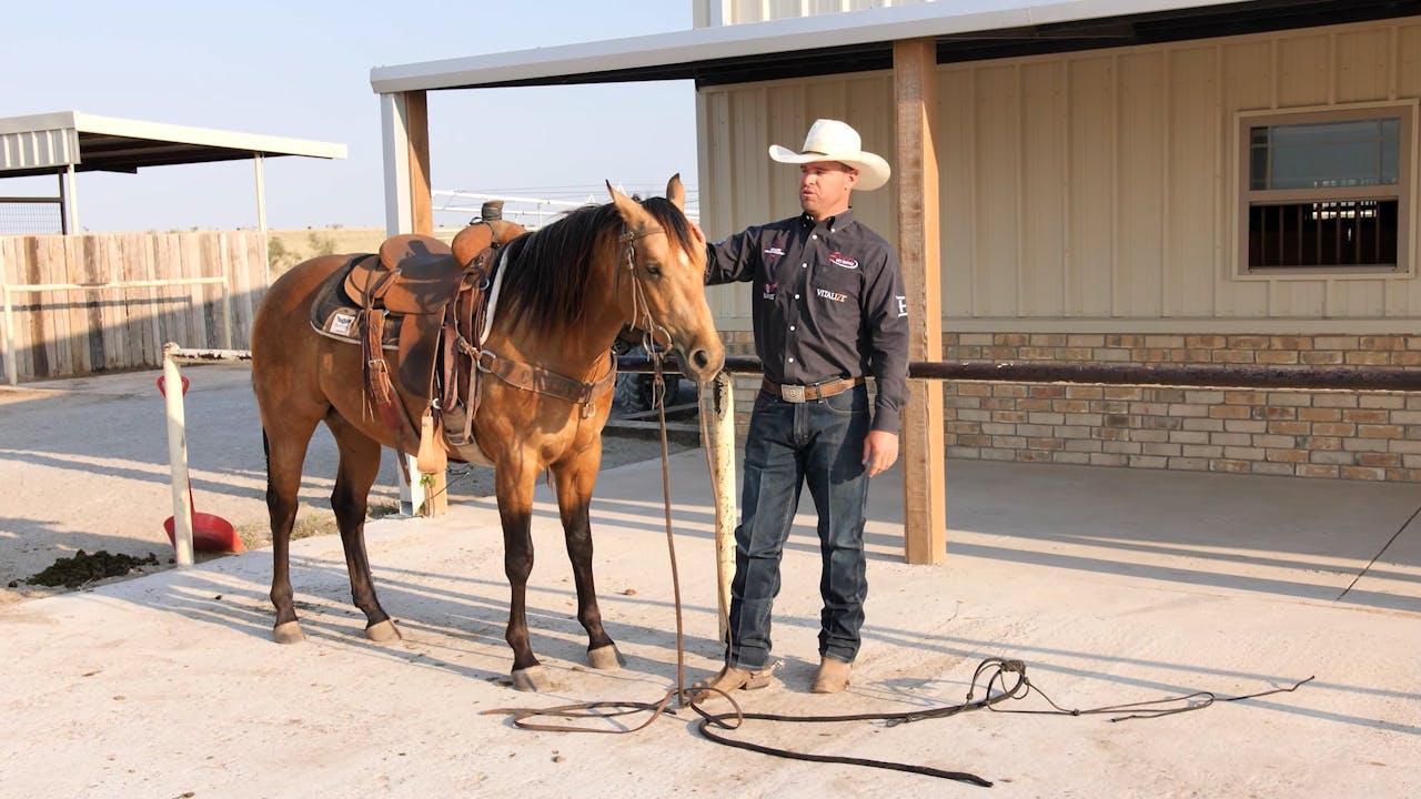 Colt-Starting Series: Bridling Fundamentals - RIDE TV