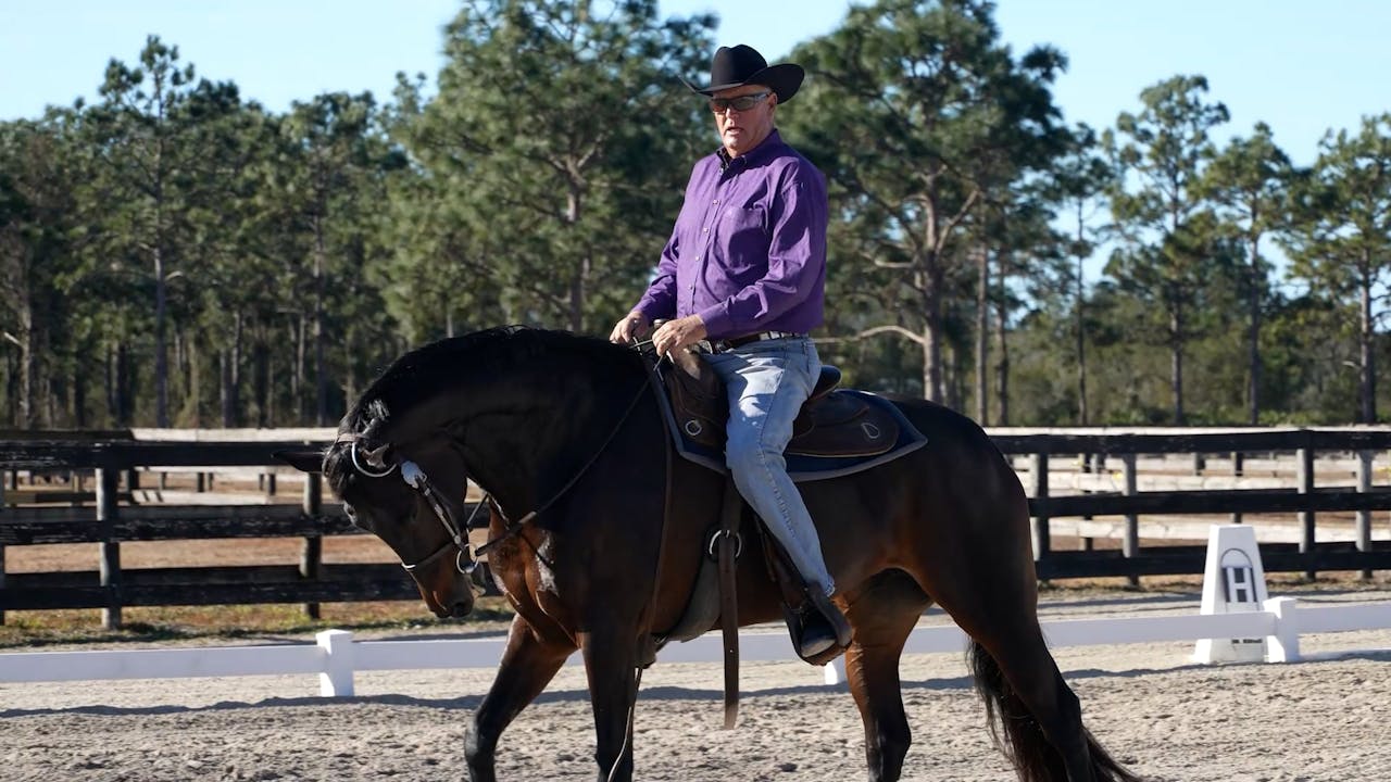 Using Half Halts for Connection - RIDE TV