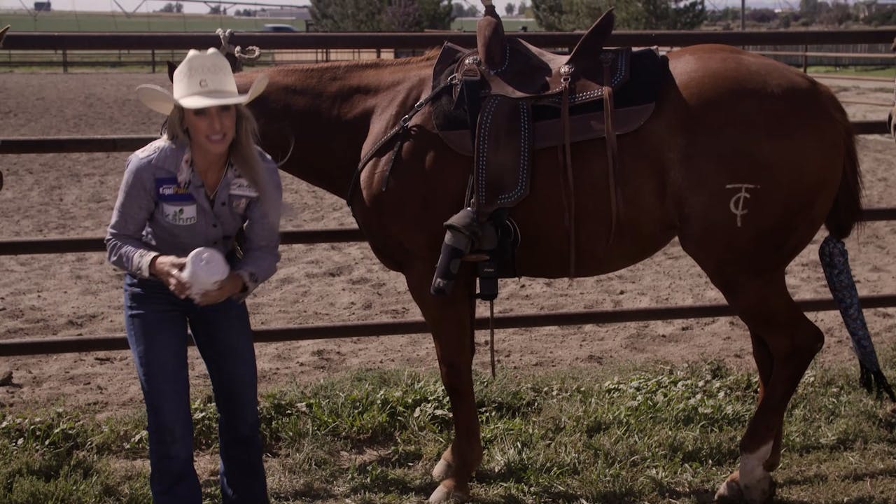 Polo Wraps - Proper Application - RIDE TV