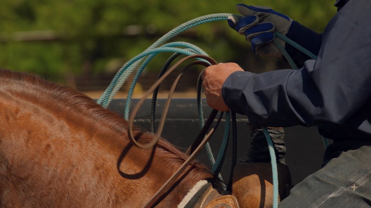 Raised Ready: The Relentless Remuda - Raised Ready: The Relentless ...