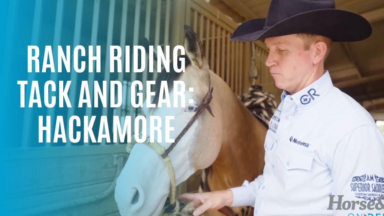 Ranch Riding Tack and Gear: Hackamore - Bud Lyon's Ranch Riding 101 Masterclass - RIDE TV