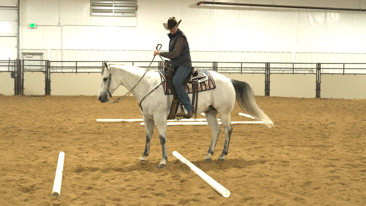Introduction to Ranch Trail: Teaching the Sidepass - Ranch Versatility ...