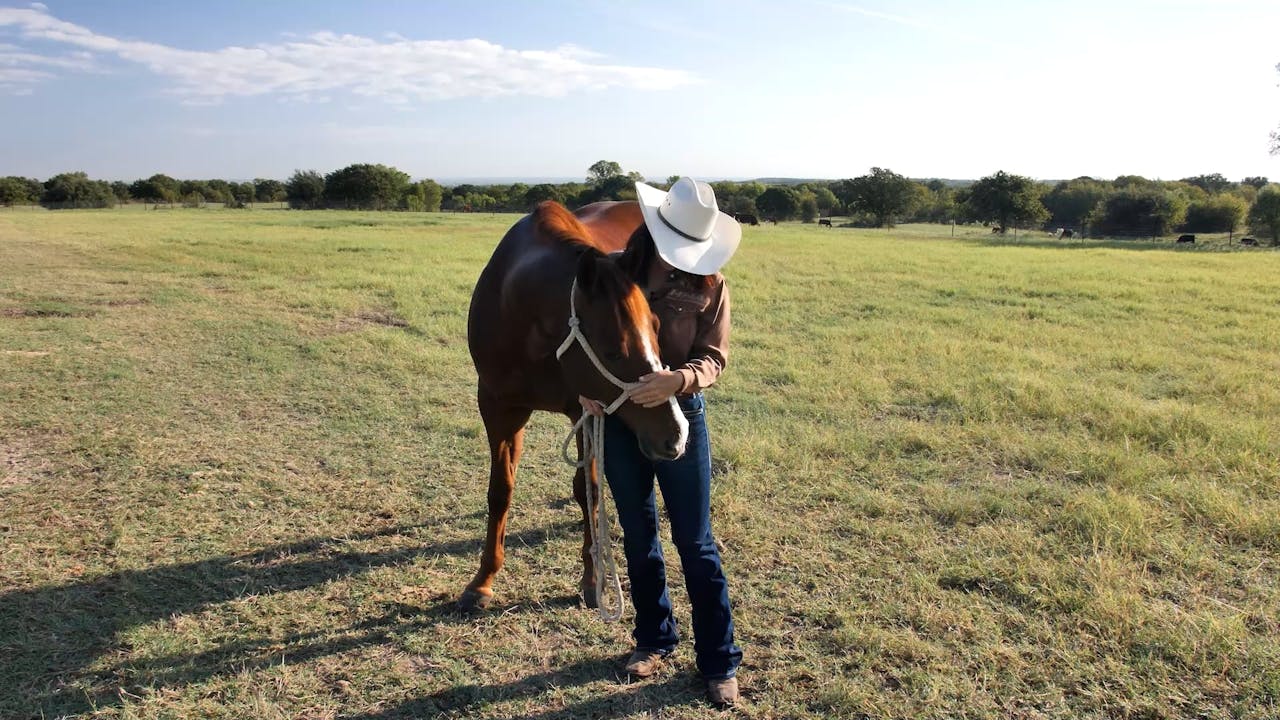 The 2021 Rodeo Season - RIDE TV
