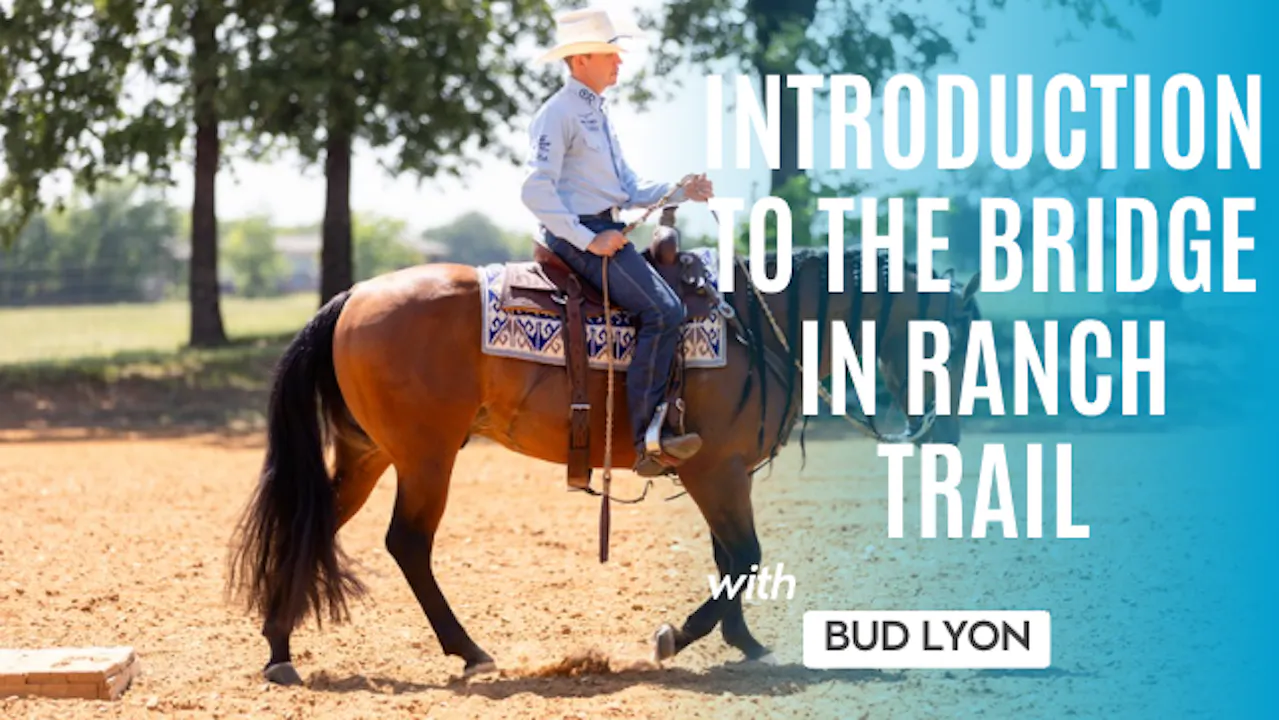 Introduction to the Bridge in Ranch Trail - Bud Lyon's Ranch Trail ...