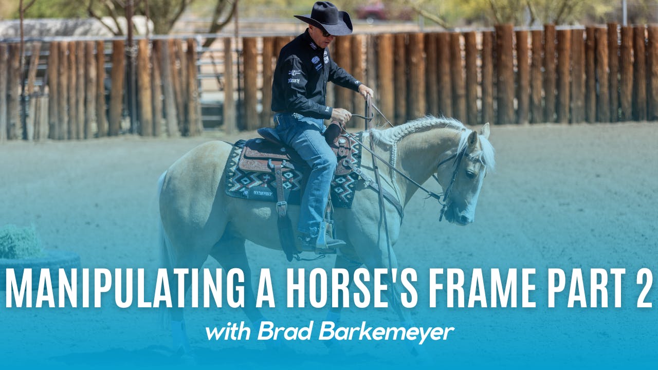 Manipulating a Horse's Frame Part 2 - Scoring, Skills & Strategy with ...