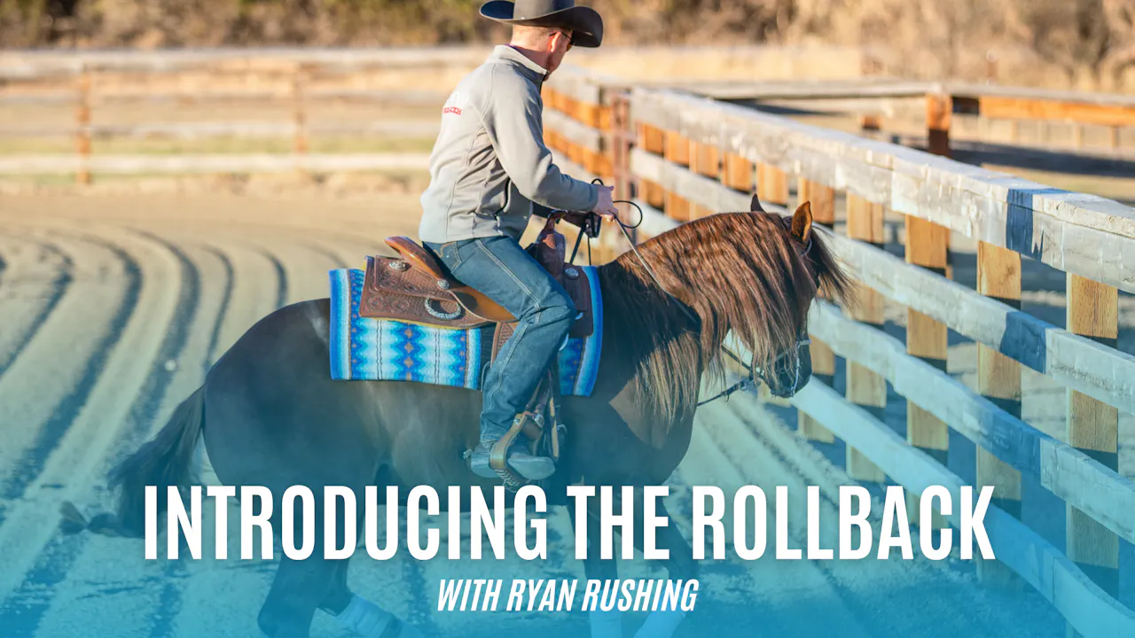 Introducing the Rollback - Build the Pattern: Reining Fundamentals to ...