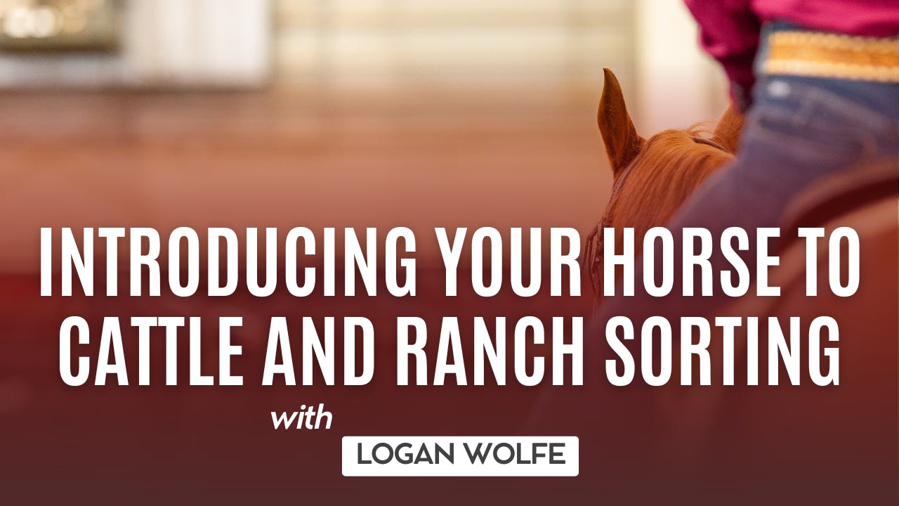 Introducing Your Horse to Cattle and Ranch Sorting - RIDE TV