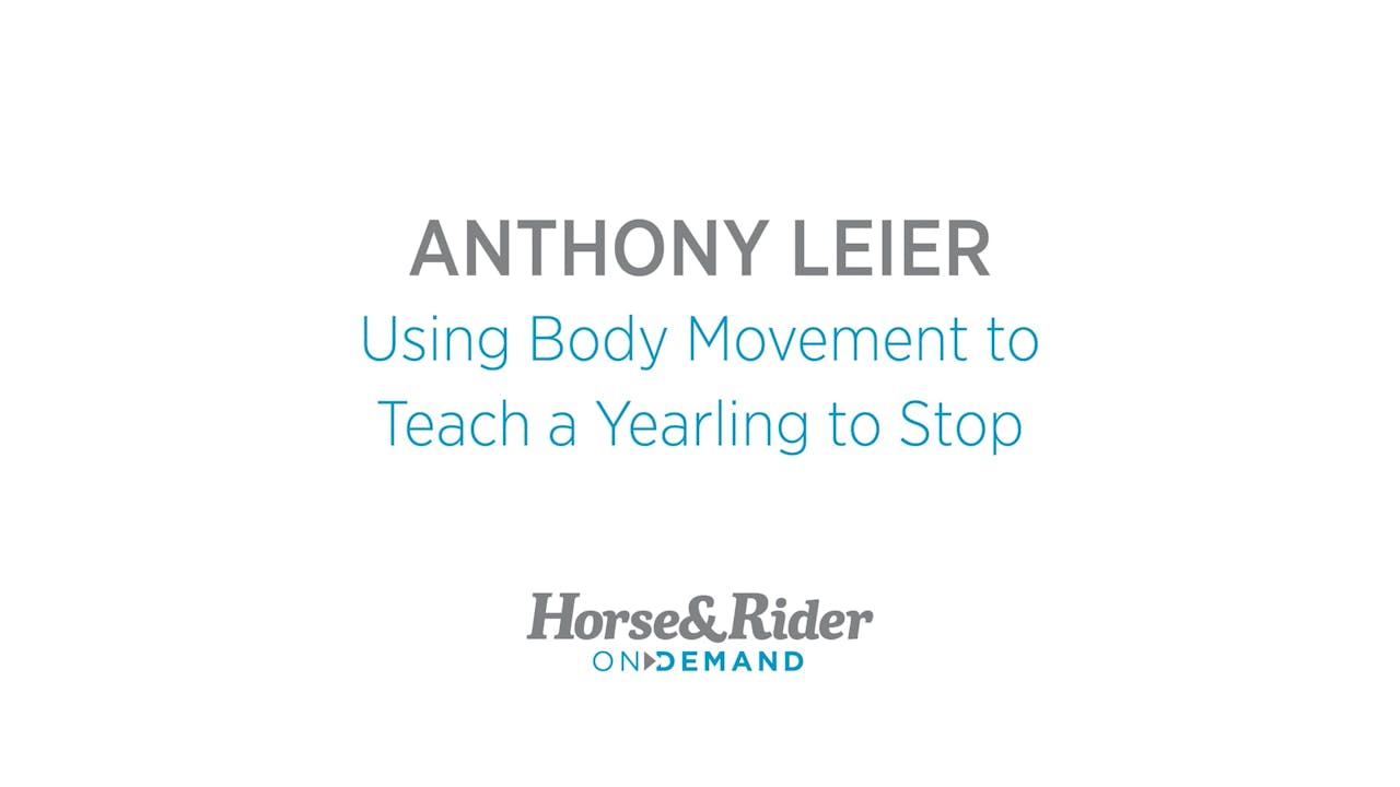 Using Body Movements to Teach a Yearling to Stop - RIDE TV