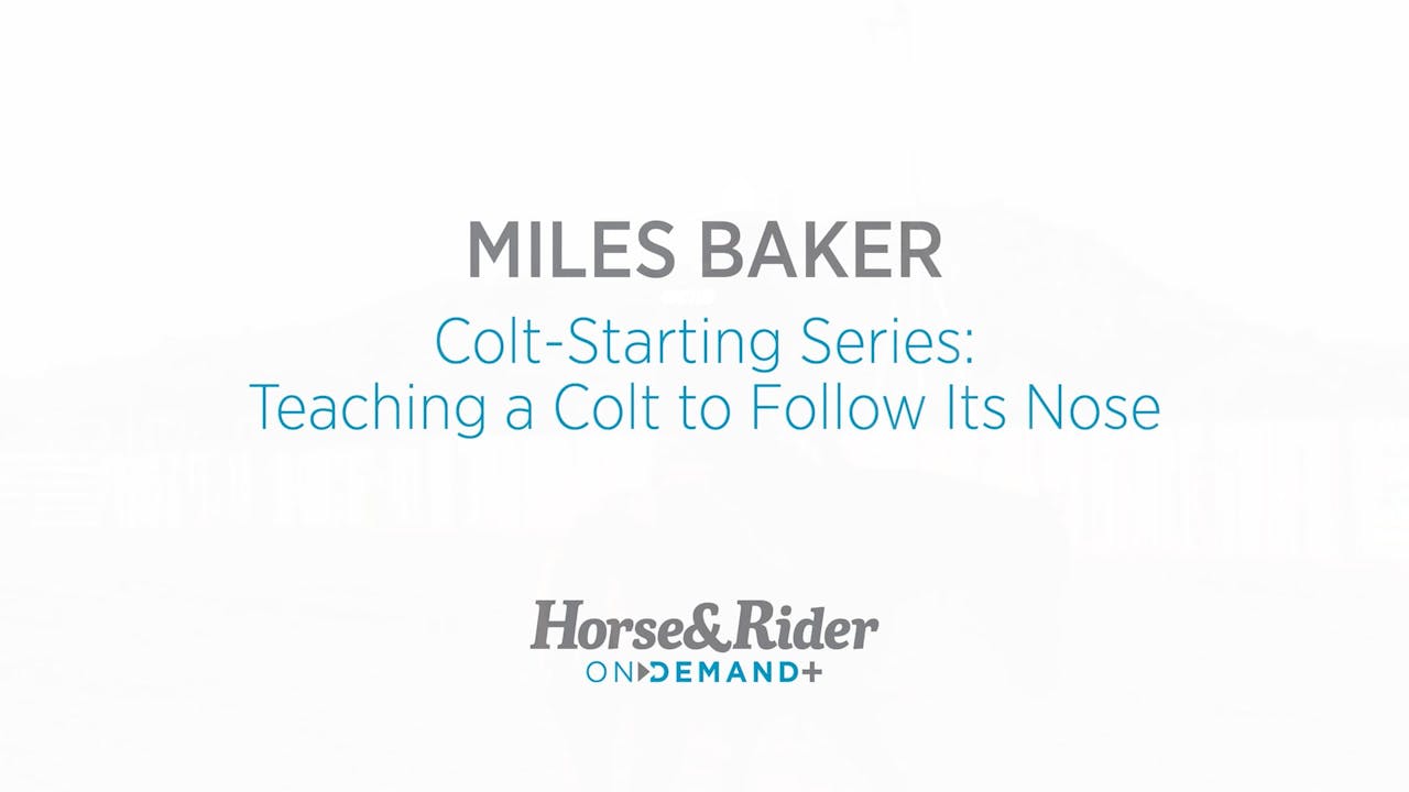 Colt-Starting Series: Teaching a Colt to Follow Its Nose - RIDE TV