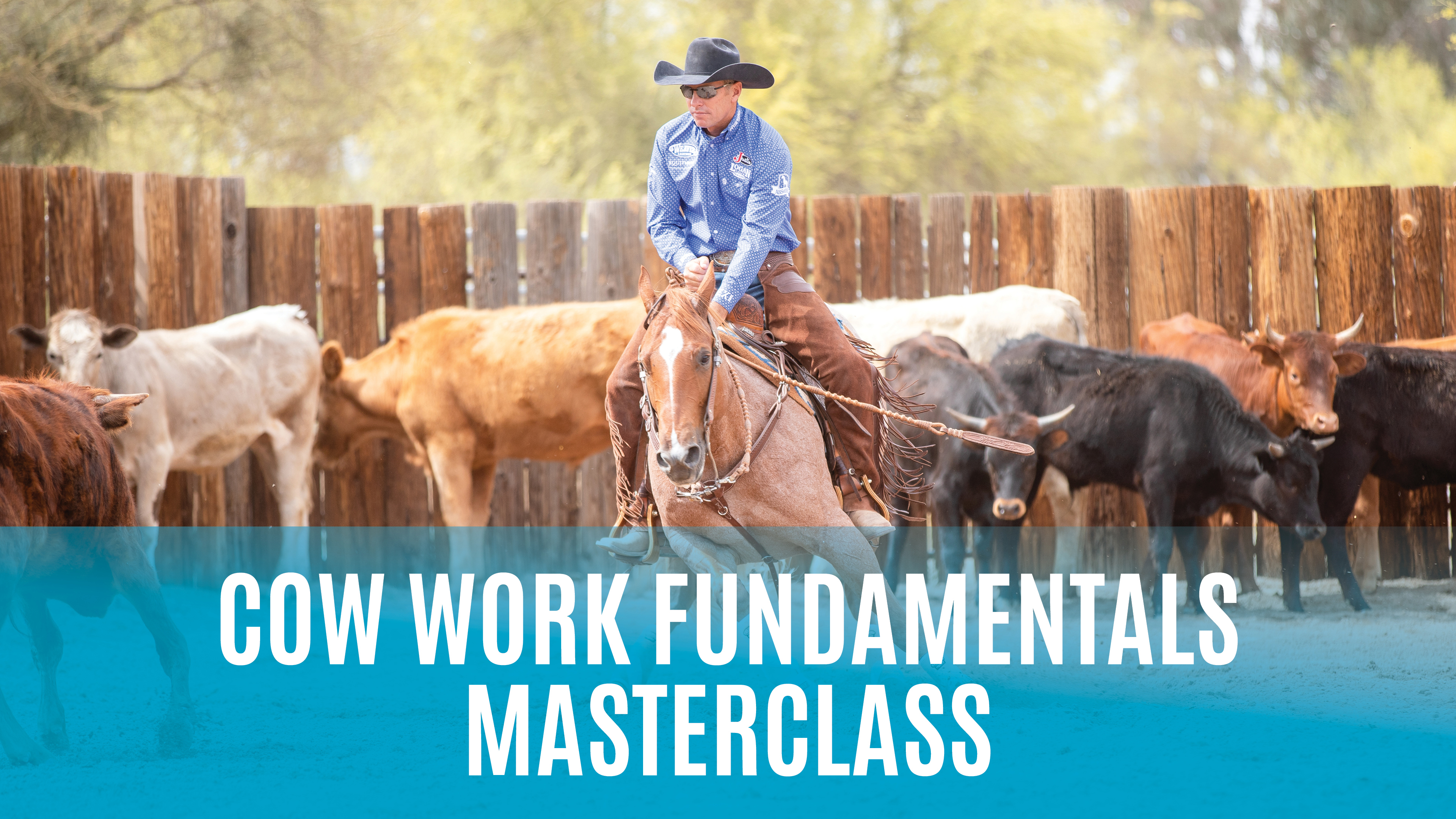 Cow Work Fundamentals Masterclass - RIDE TV