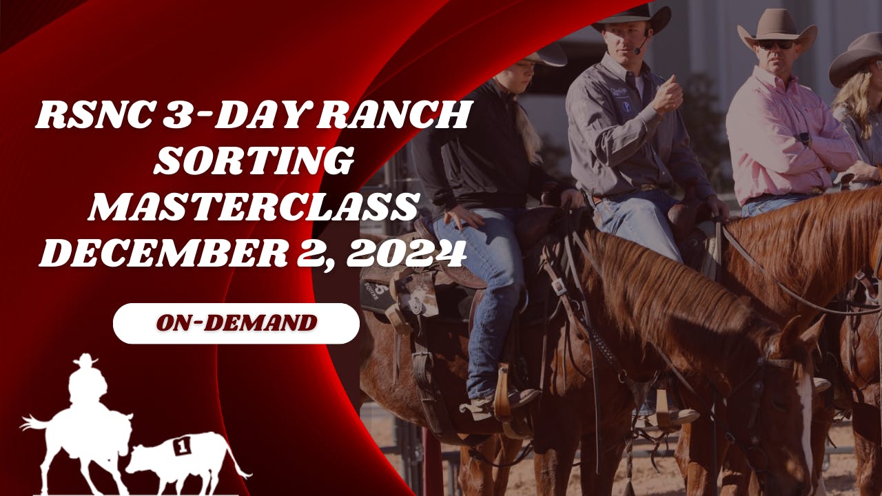 RSNC 3-Day Ranch Sorting Masterclass | December 2, 2024 - 2024 Cinch ...