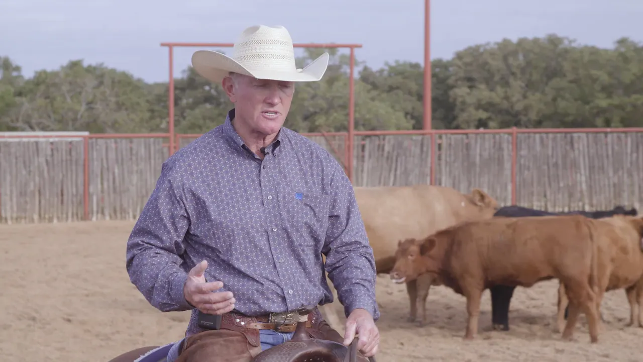 Developing the Basic Instincts - RIDE TV