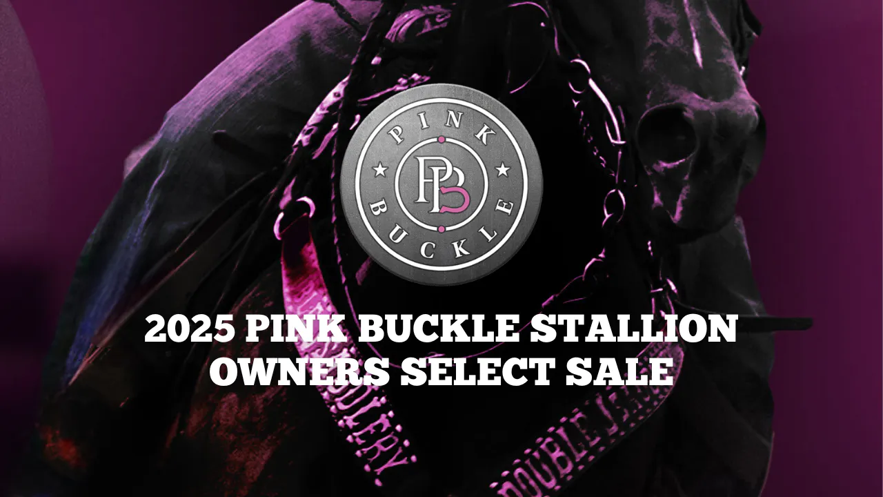 Pink Buckle Stallion Owners Select Sale | Oct. 9, 2025 - RIDE TV