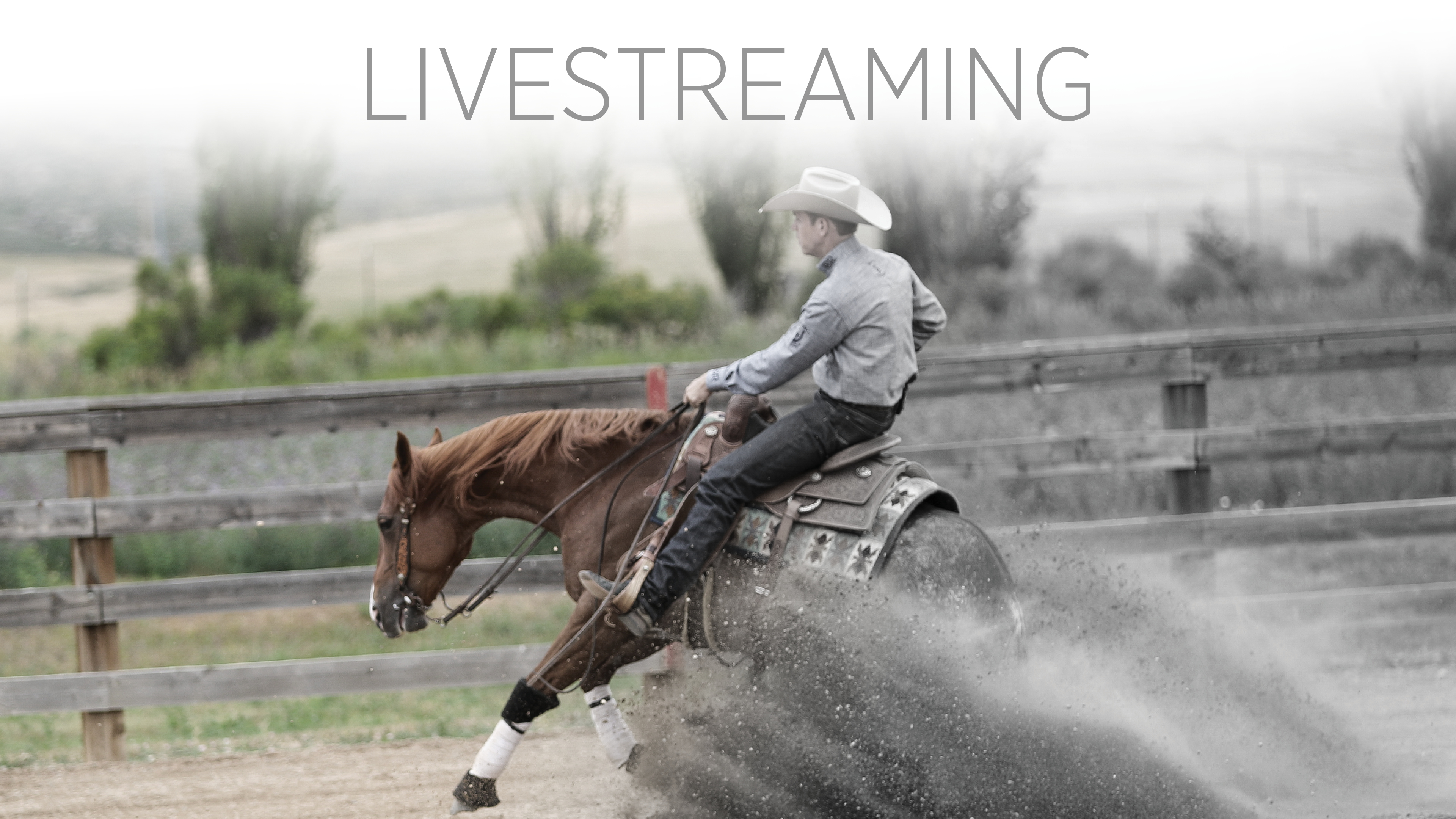 Western Performance Livestreams - RIDE TV