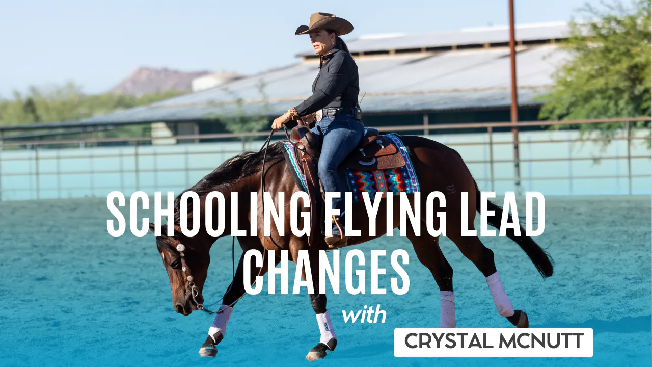 Schooling Flying Lead Changes - RIDE TV