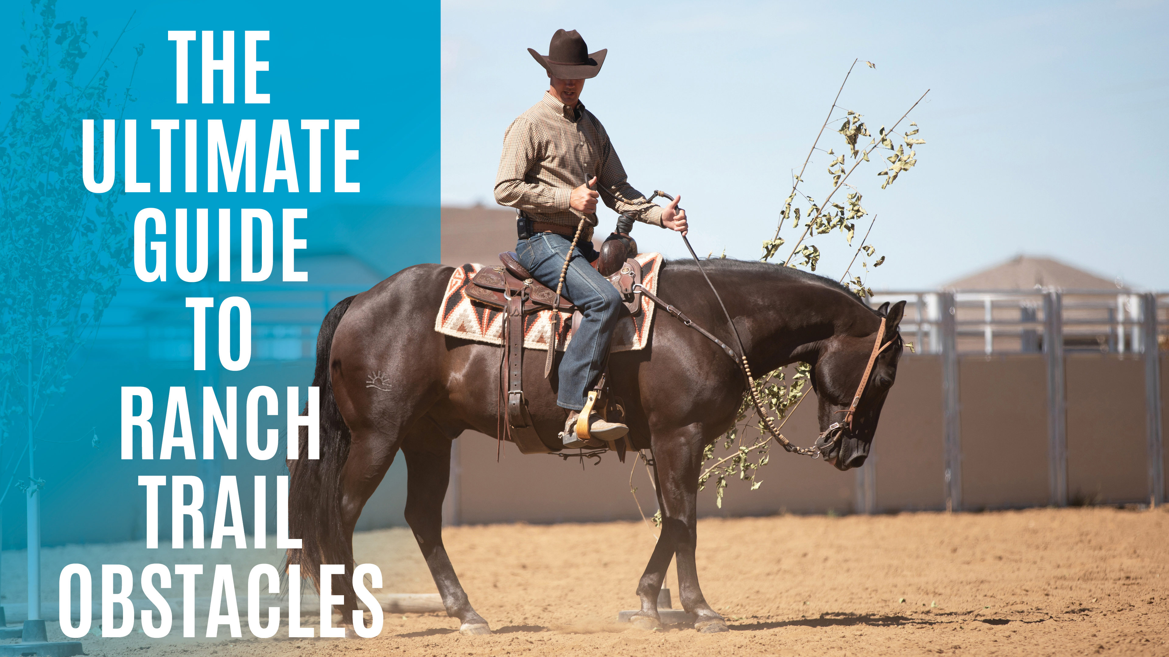 The Ultimate Guide to Ranch Trail Obstacles - RIDE TV
