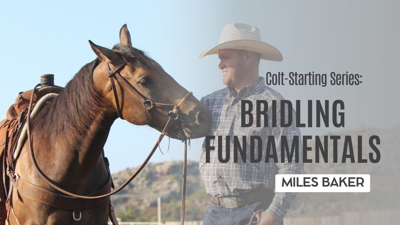 Colt-Starting Series: Bridling Fundamentals - Colt Starting - RIDE TV