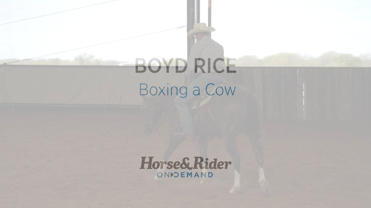 Boxing a Cow - RIDE TV
