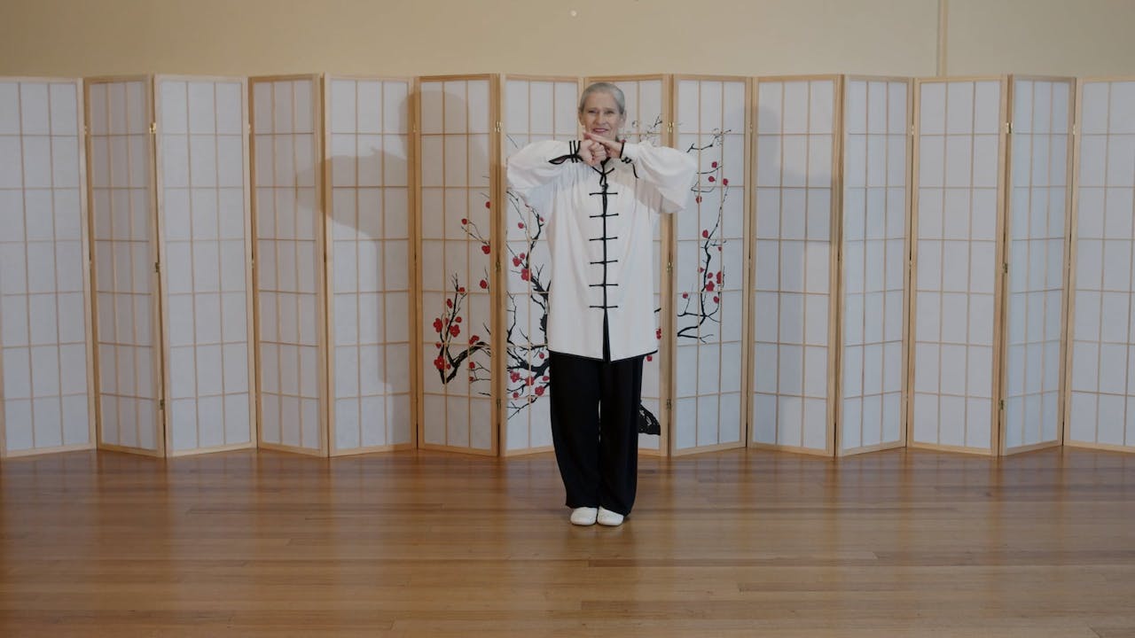 Postures 20 and 21 Fan Through the Back and Turn, Deflect, Parry and ...