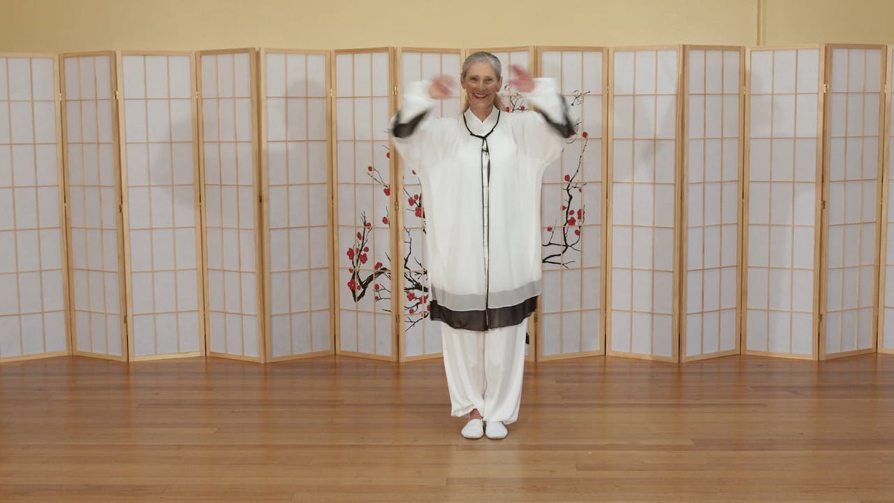 Shibashi Set 2 Postures 4-6 - Shibashi Set 2 - Rising Moon Tai Chi