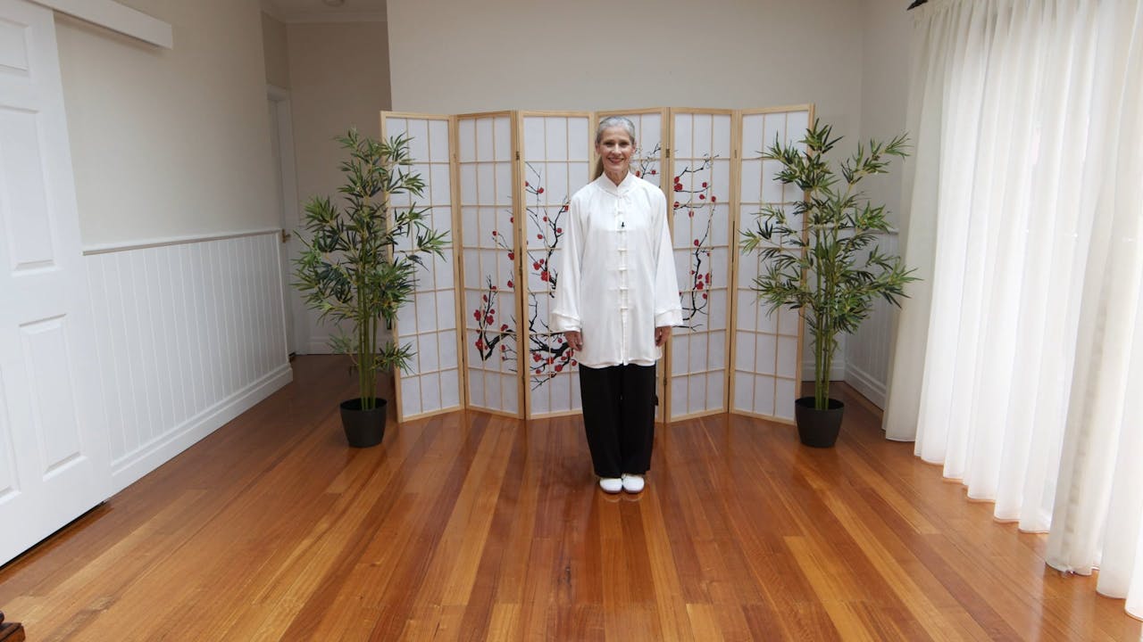 Shibashi Set 1 (Complete) - Shibashi Set 1 - Rising Moon Tai Chi