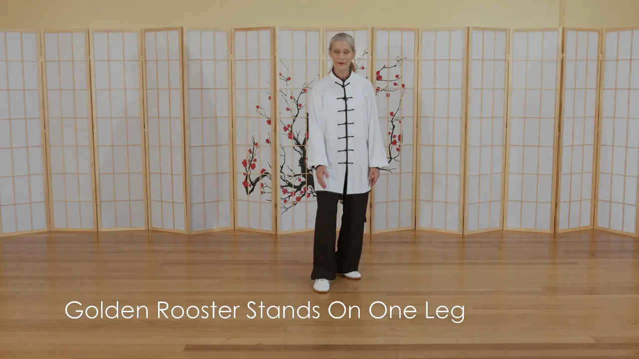 Golden Rooster Stands on One Leg, High Kick with Heel and Grasp Bird’s ...