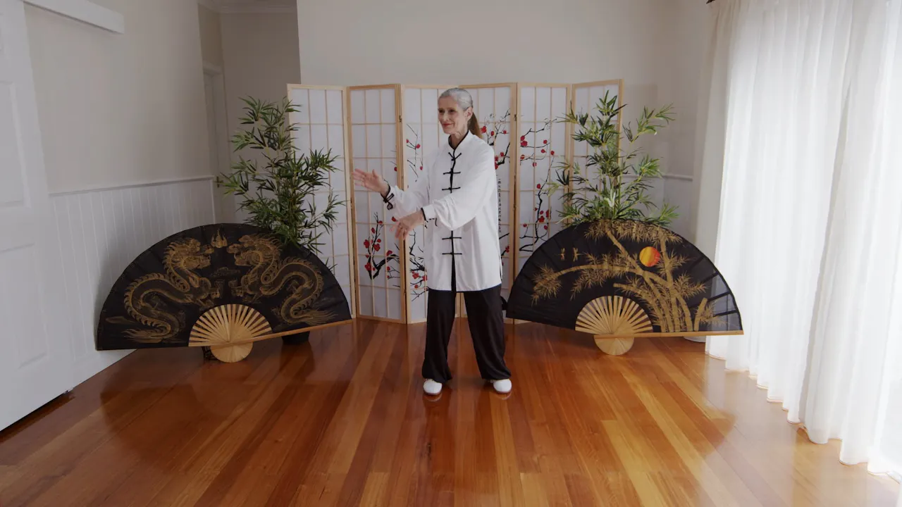 Standing Meditation 8 - Rising Moon Tai Chi