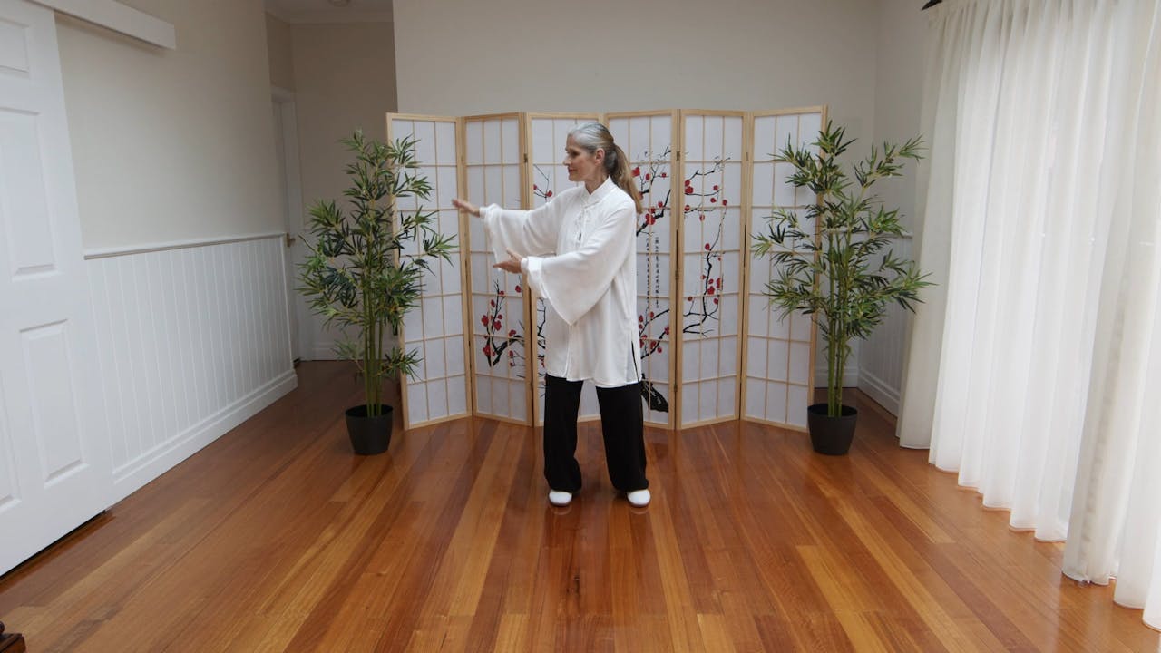 Shibashi Set 1 Postures 17 to 18 - Rising Moon Tai Chi