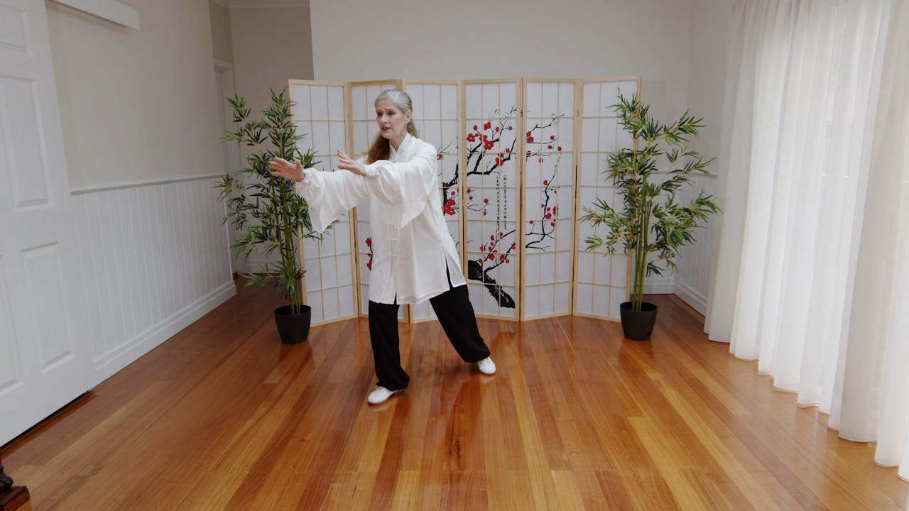 Shibashi Set 1 Postures 11 to 13 - Rising Moon Tai Chi