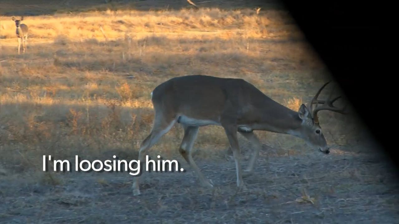 Josh Spines Buck with Crossbow* - Roger Raglin Streaming Channel