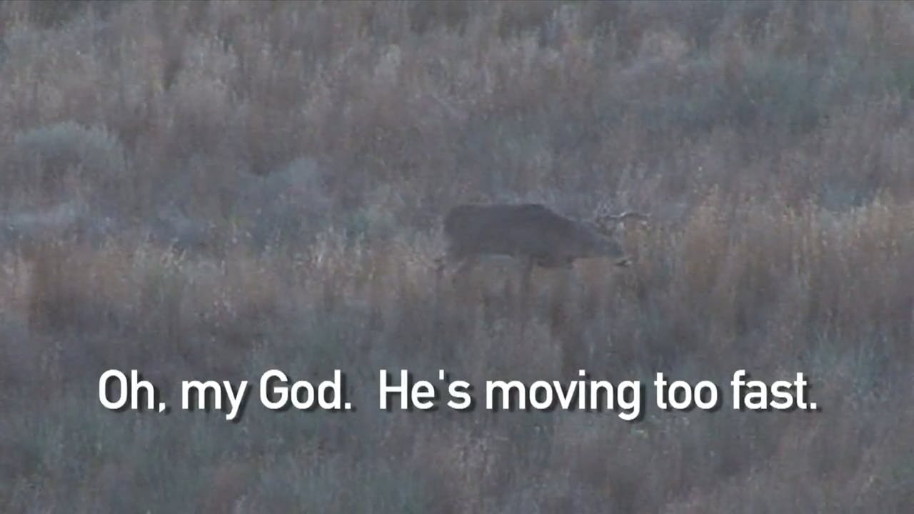 Darlene's Big Buck Kill* - Roger Raglin Streaming Channel