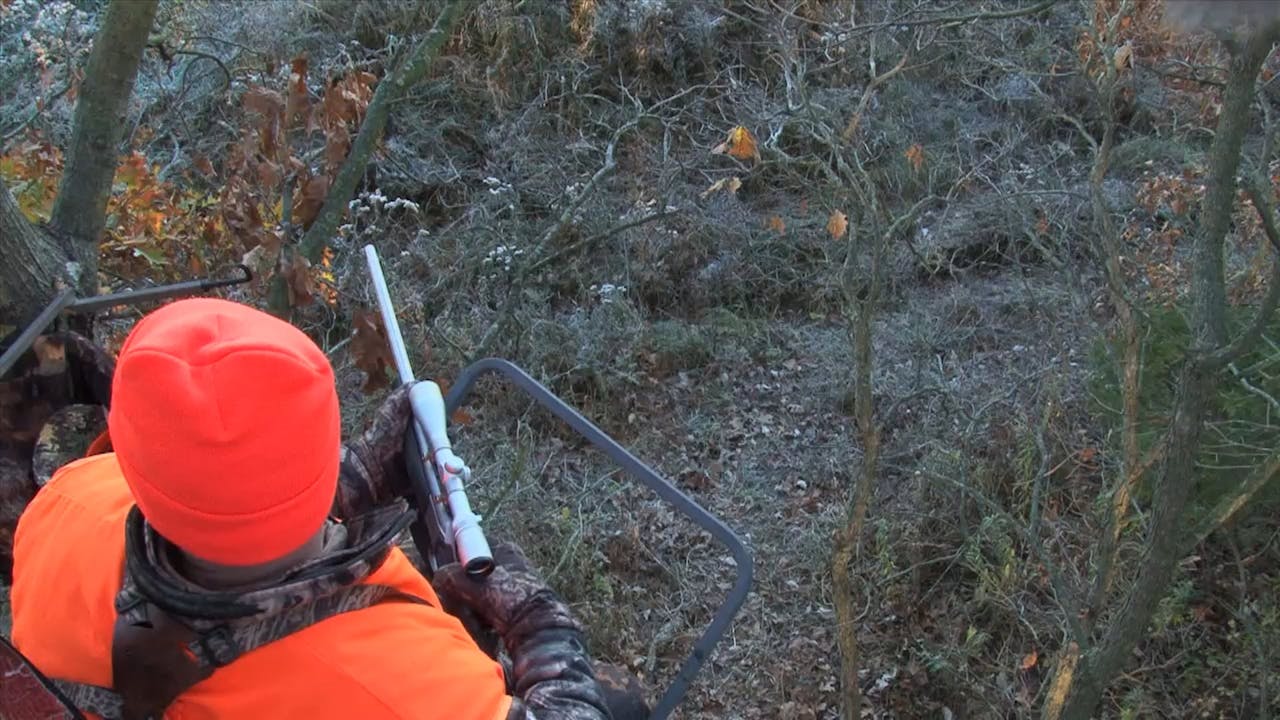 Peter Brown's Missouri Rifle Kill* - Roger Raglin Streaming Channel