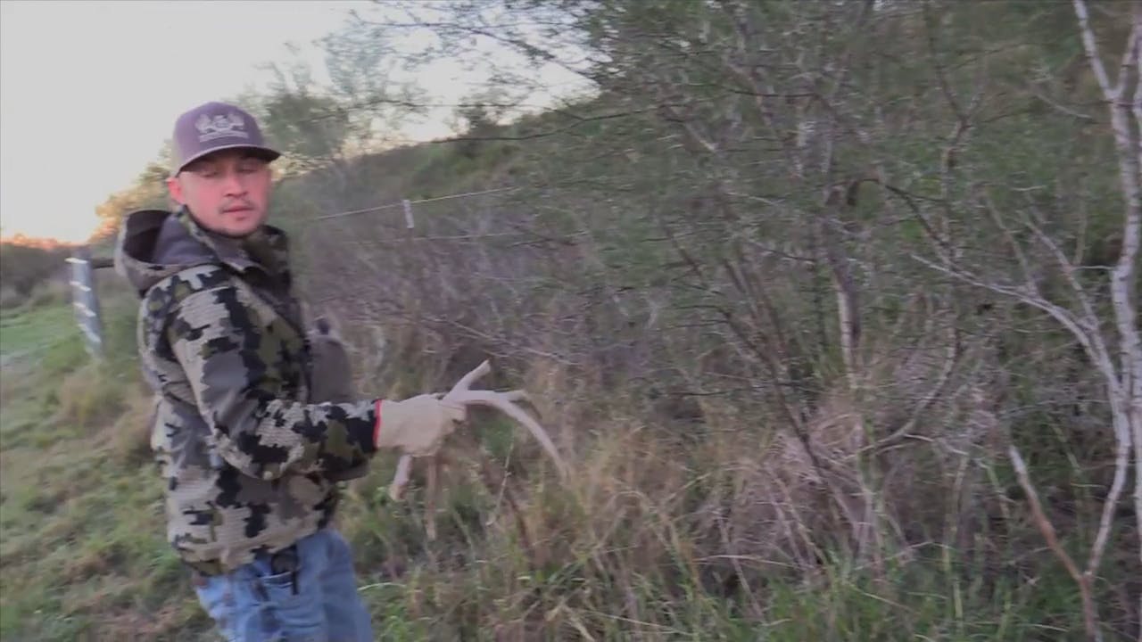 Roger and Clay Brown Rattle in Big Buck* - Roger Raglin Streaming Channel