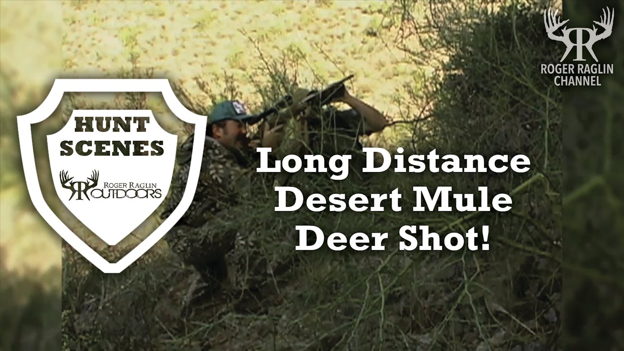 Roger's Long Distance Desert Mule Deer Shot • Hunt Scenes - Hunt Scenes ...