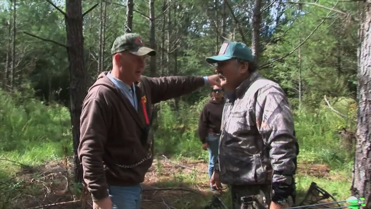 Rog Bow Kills Spotted Hog Dogs* - Roger Raglin Streaming Channel