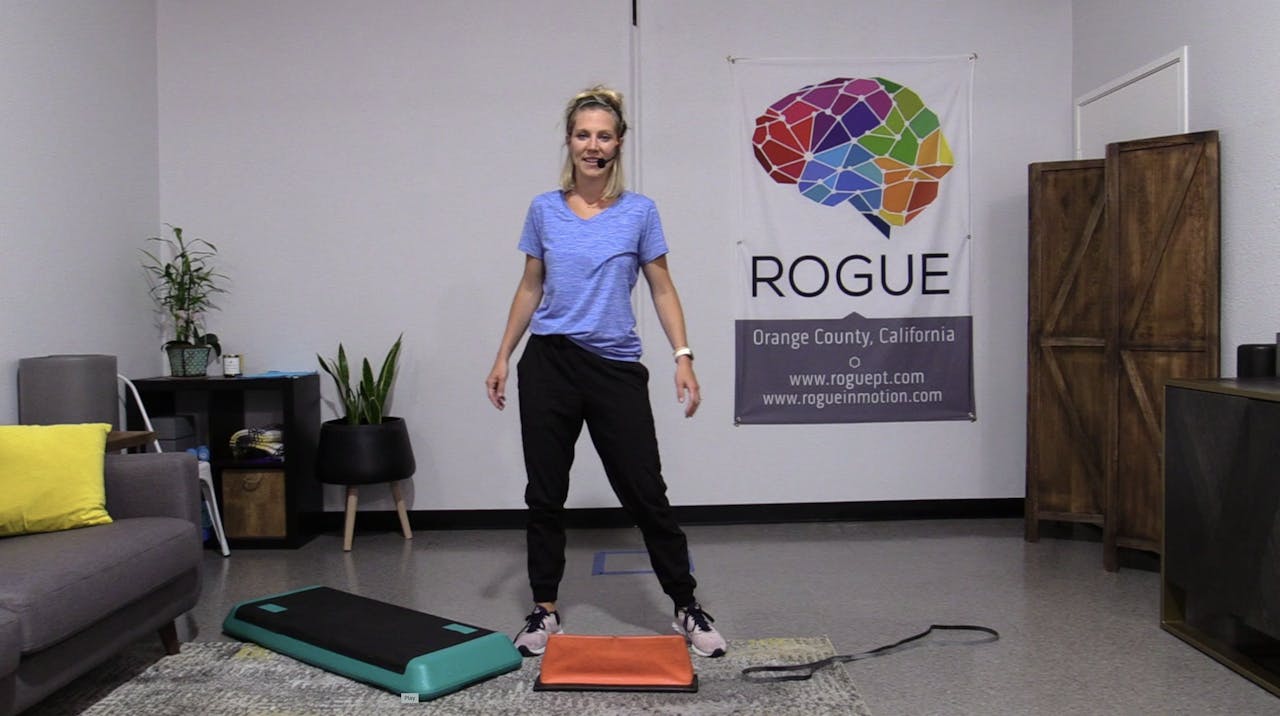 Stepping over Obstacles - Anti-Freeze Part 1 - Rogue In Motion