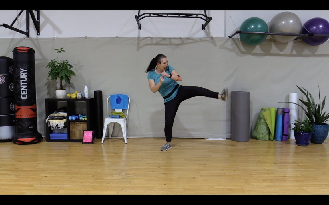 2-23-21 Boxing - January - February 2021 - Rogue In Motion