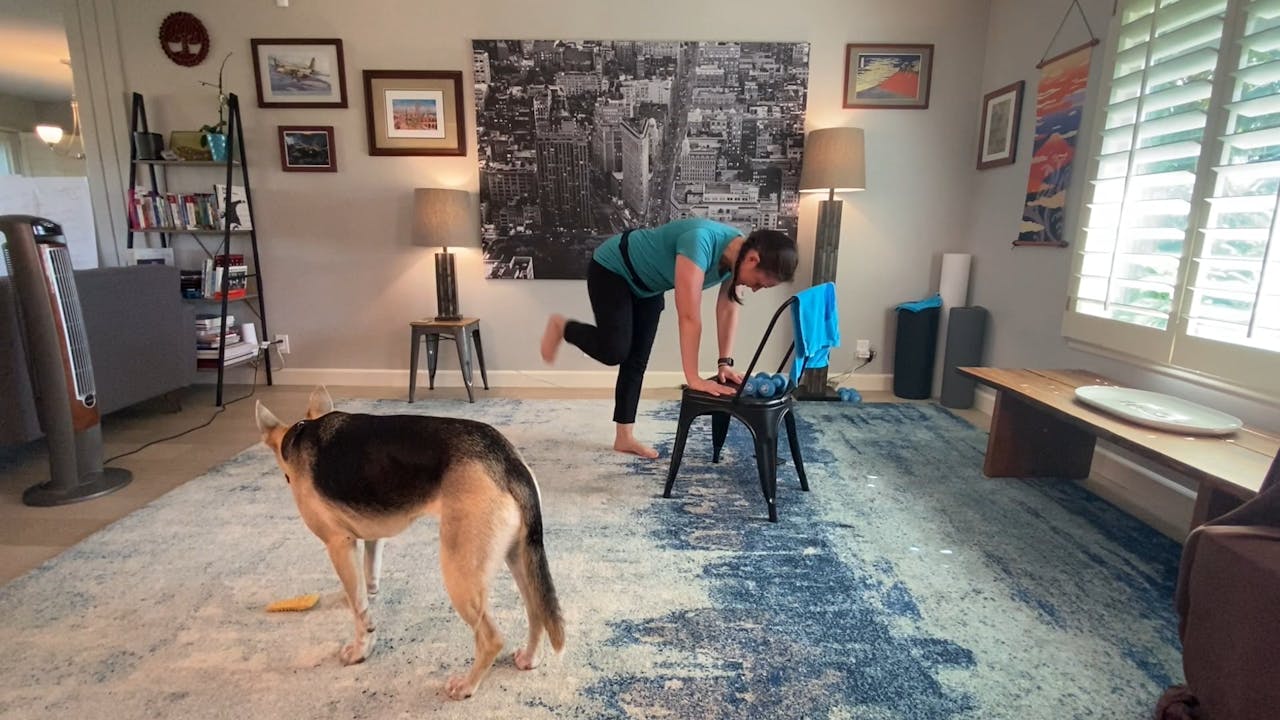 5-13-20 Standing - Rogue In Motion