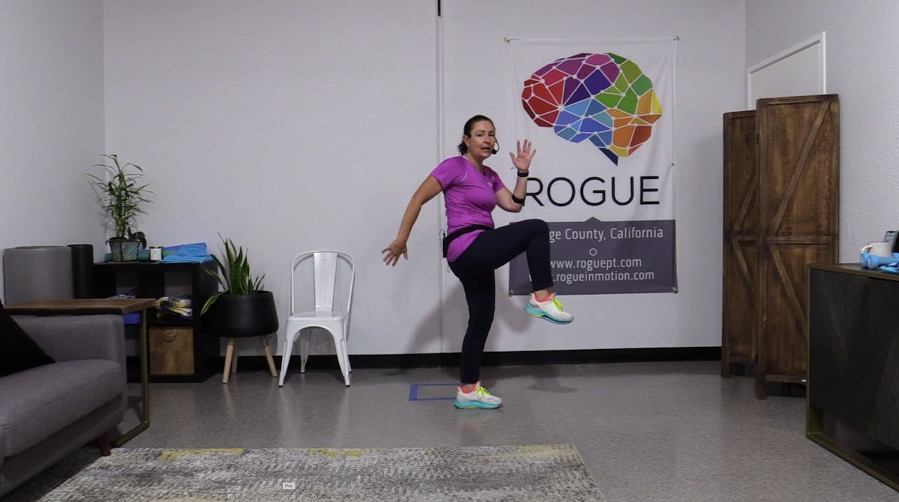 8-31-21 Boxing - Flexibility Focus! - July - August 2021 - Rogue In Motion